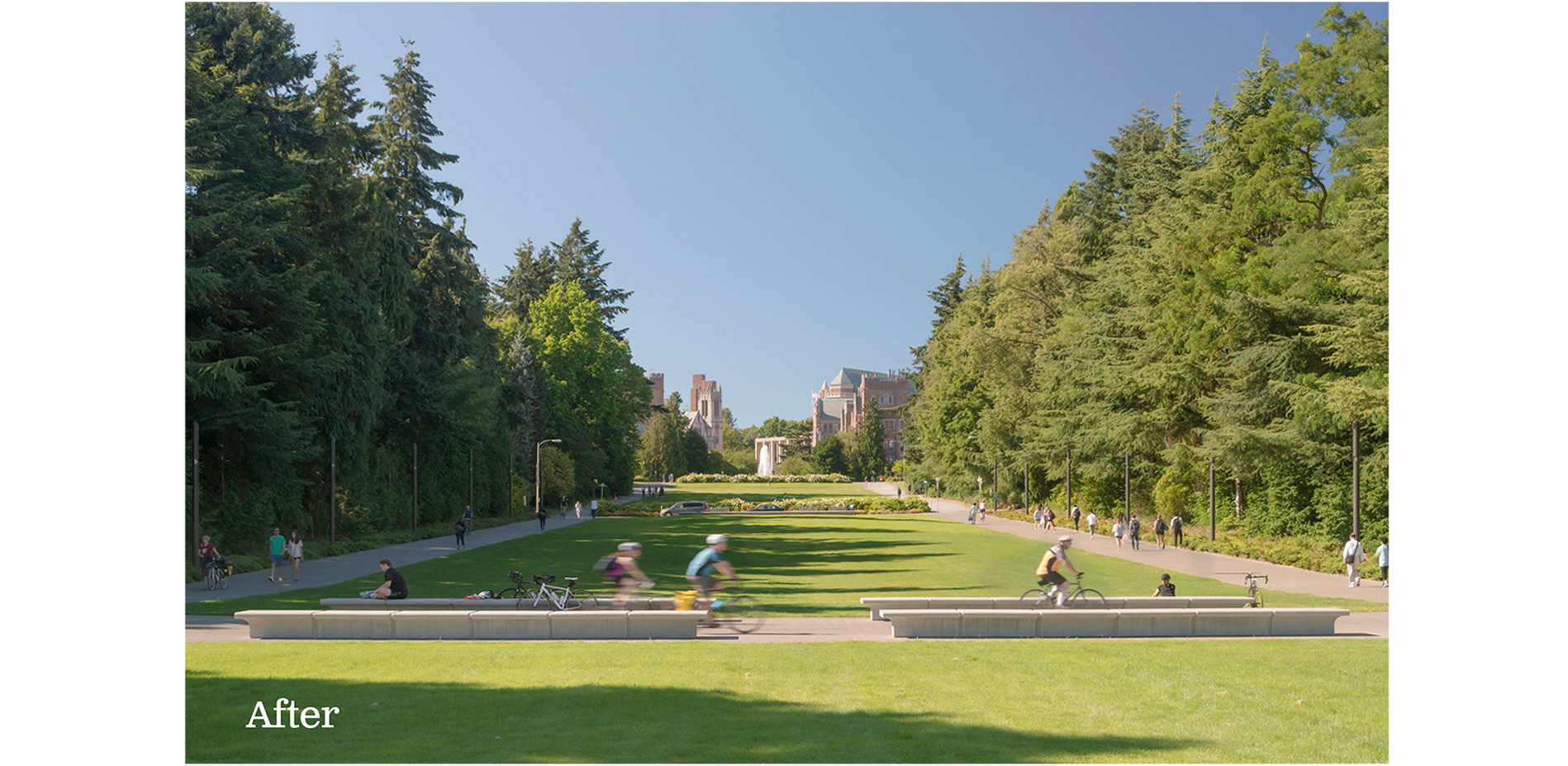 2019 ASLA GENERAL DESIGN AWARD OF HONOR: Lower Rainier Vista ...