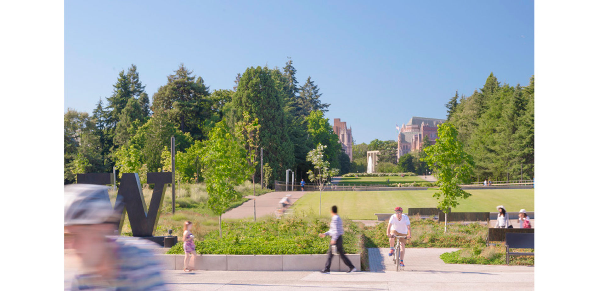 2019 ASLA GENERAL DESIGN AWARD OF HONOR: Lower Rainier Vista ...