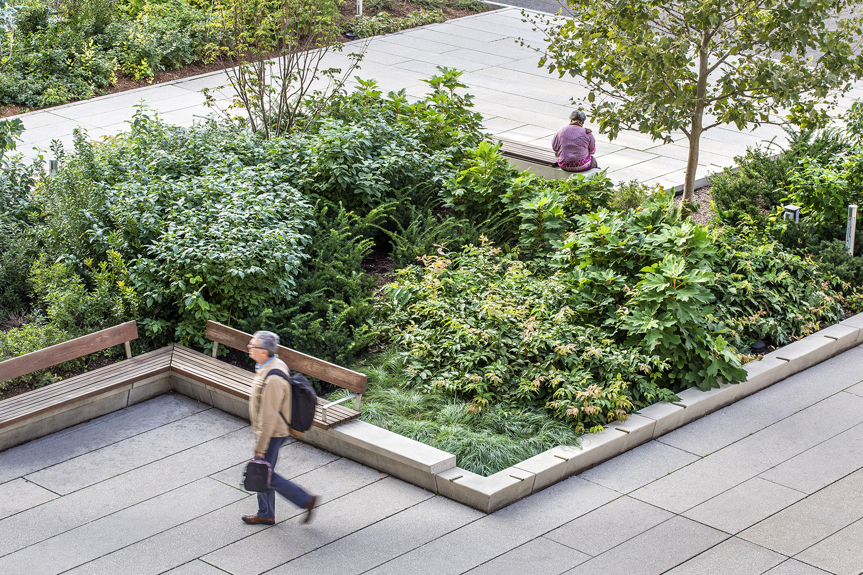 Nathan Phillips Square Revitalization by PLANT Architect + Perkins+Will ...