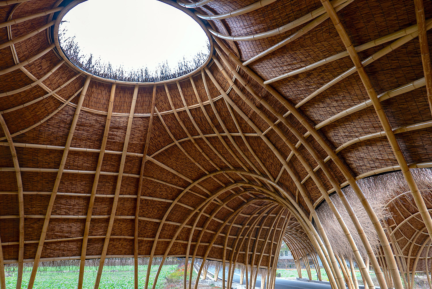 Bamboo Corridor in the flower field, China by Beijing Forestry ...