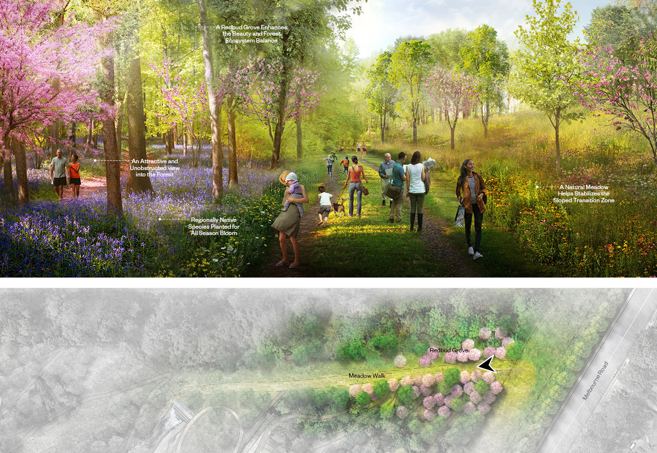 2019 ALSA Analysis and Planning Honor Award: McIntire Botanical Garden ...