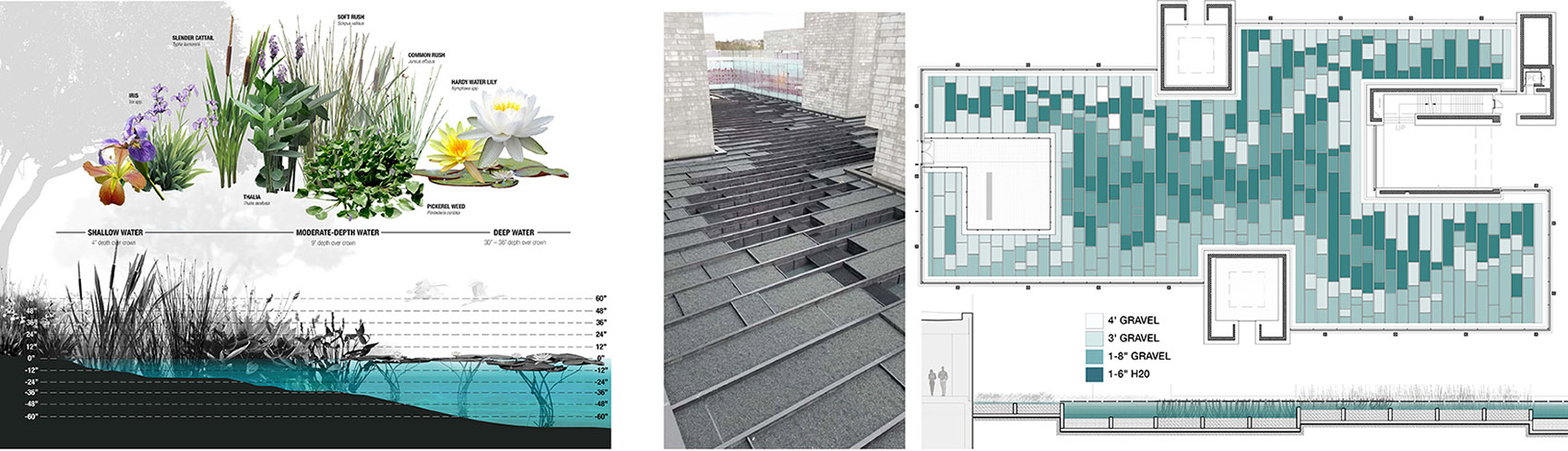 2019 ASLA GENERAL DESIGN AWARD OF HONOR: Glenstone by PWP Landscape ...
