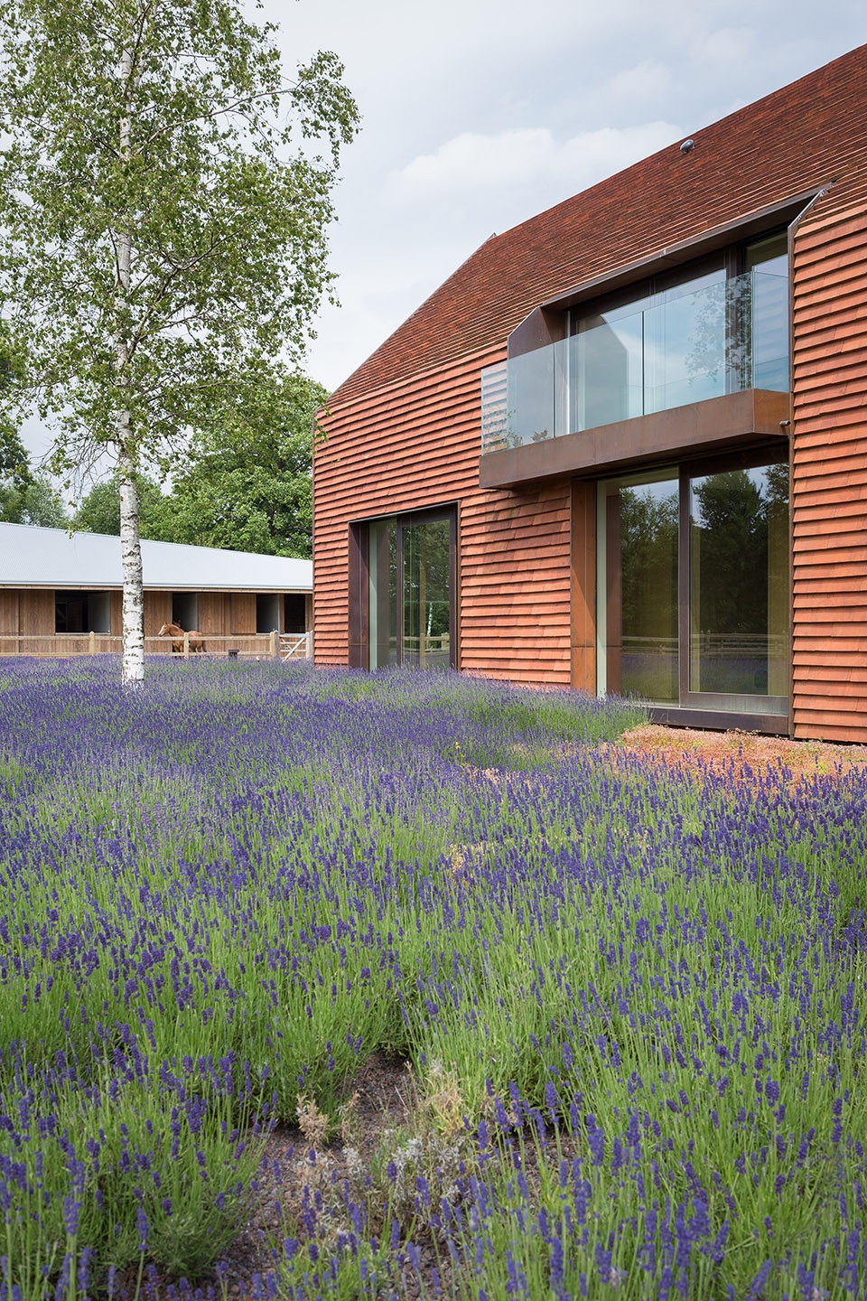House Olmen by Pascal François Architects - 谷德设计网