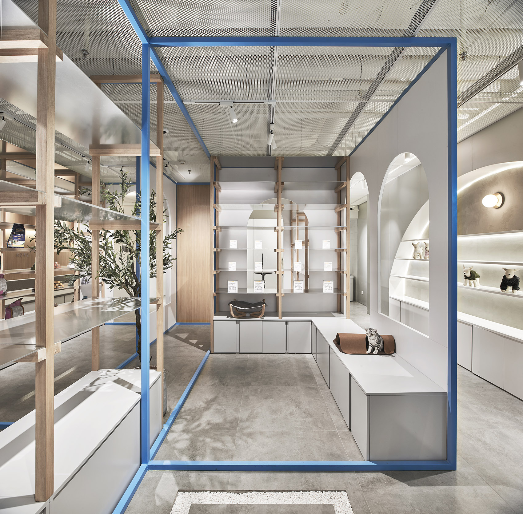 Noblepets Store, China by Nazodesign Studio - 谷德设计网