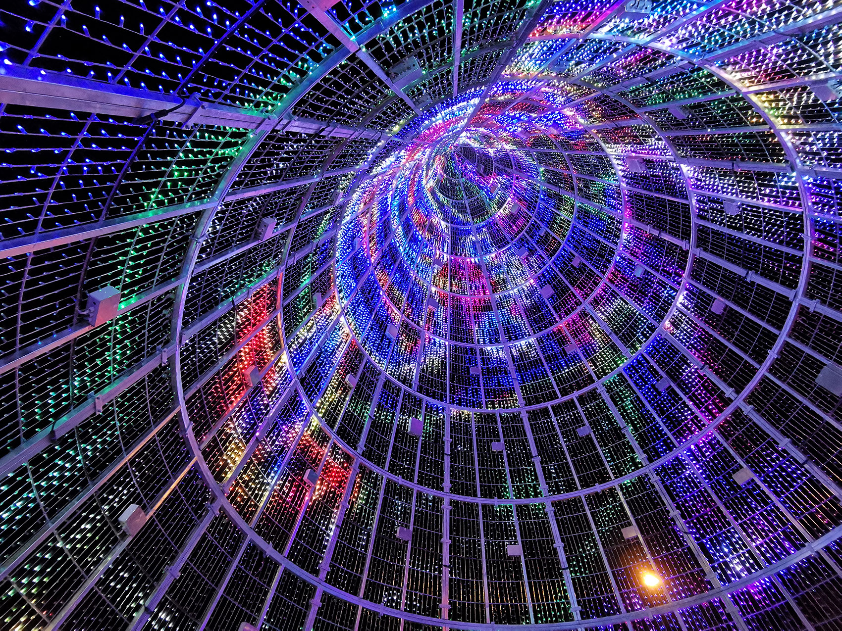 Mile High Tree – Dynamic Light Programming by Brut Deluxe - 谷德设计网