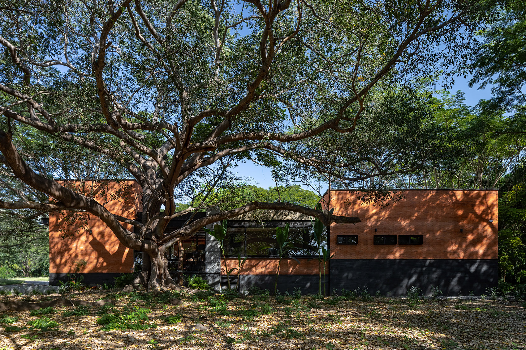 Keita House by Di Frenna Arquitectos - 谷德设计网