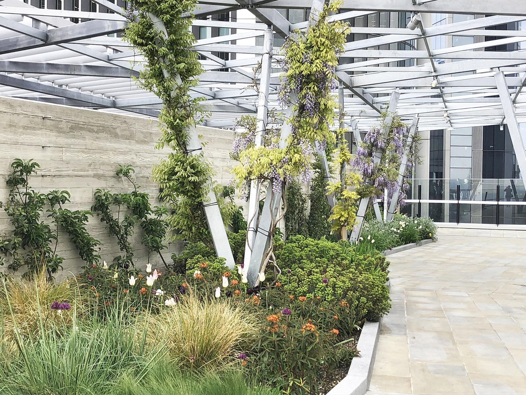 012-the-garden-at-120-fenchurch-avenue-london-uk-by-latz-partner.jpg ...