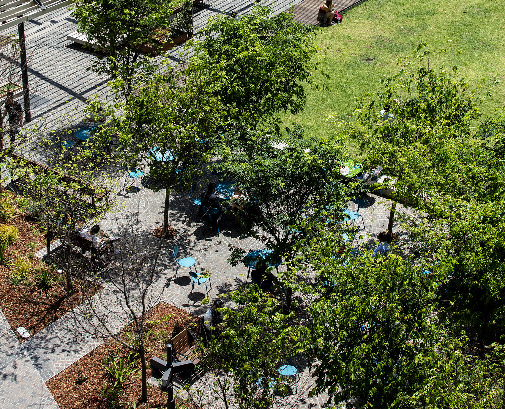 Darling Square – A Public Space for All by ASPECT Studios - 谷德设计网