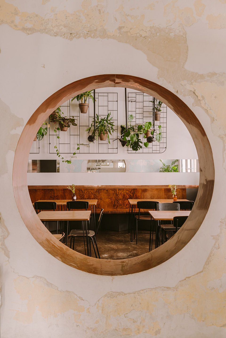 MASSOLIT COOKS by MIASTOPRACOWNIA - 谷德设计网