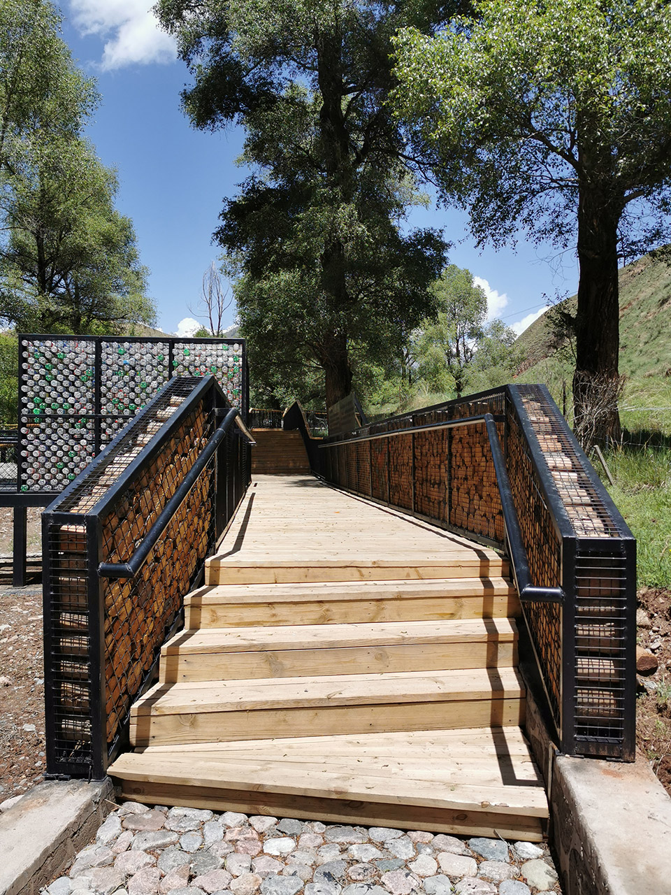 The construction of rural public space in the forest of Populus alba ...