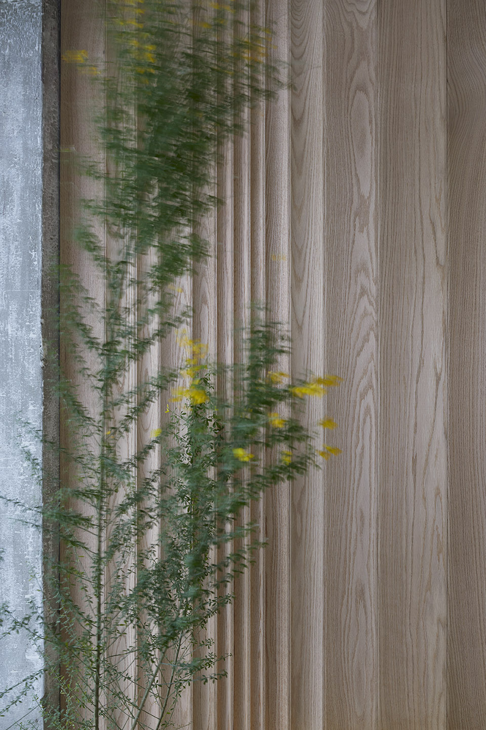 ilil coffee by ATMOROUND - 谷德设计网