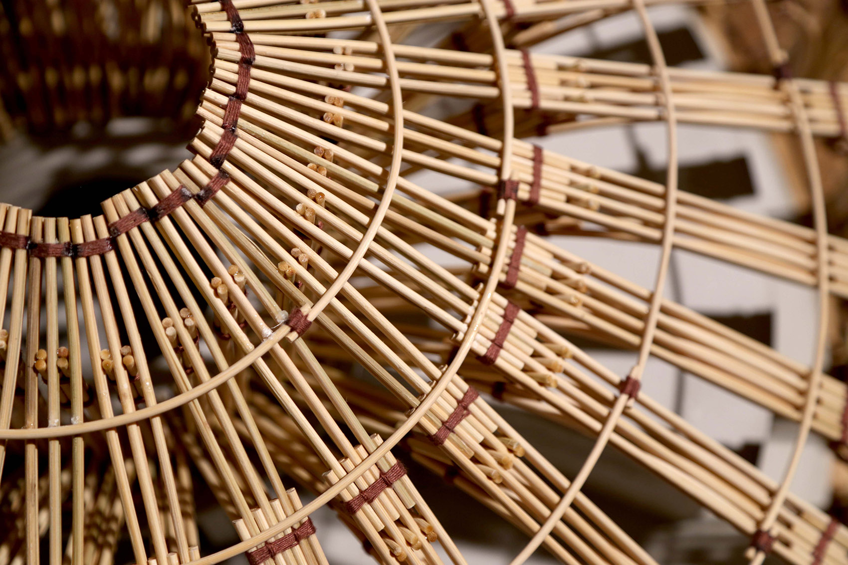 Overseas NO.93: Xiaotang Tang - 谷德设计网