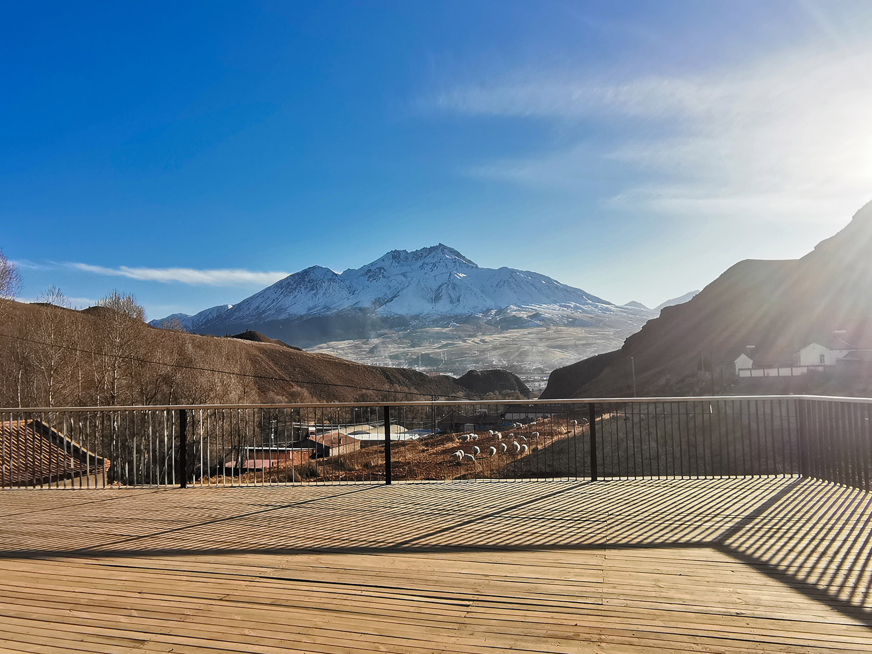 The construction of rural public space in the forest of Populus alba ...