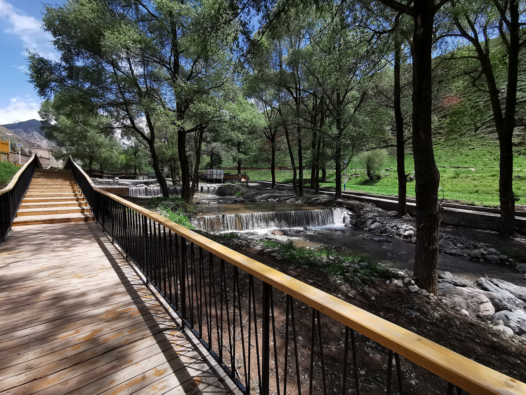 The construction of rural public space in the forest of Populus alba ...