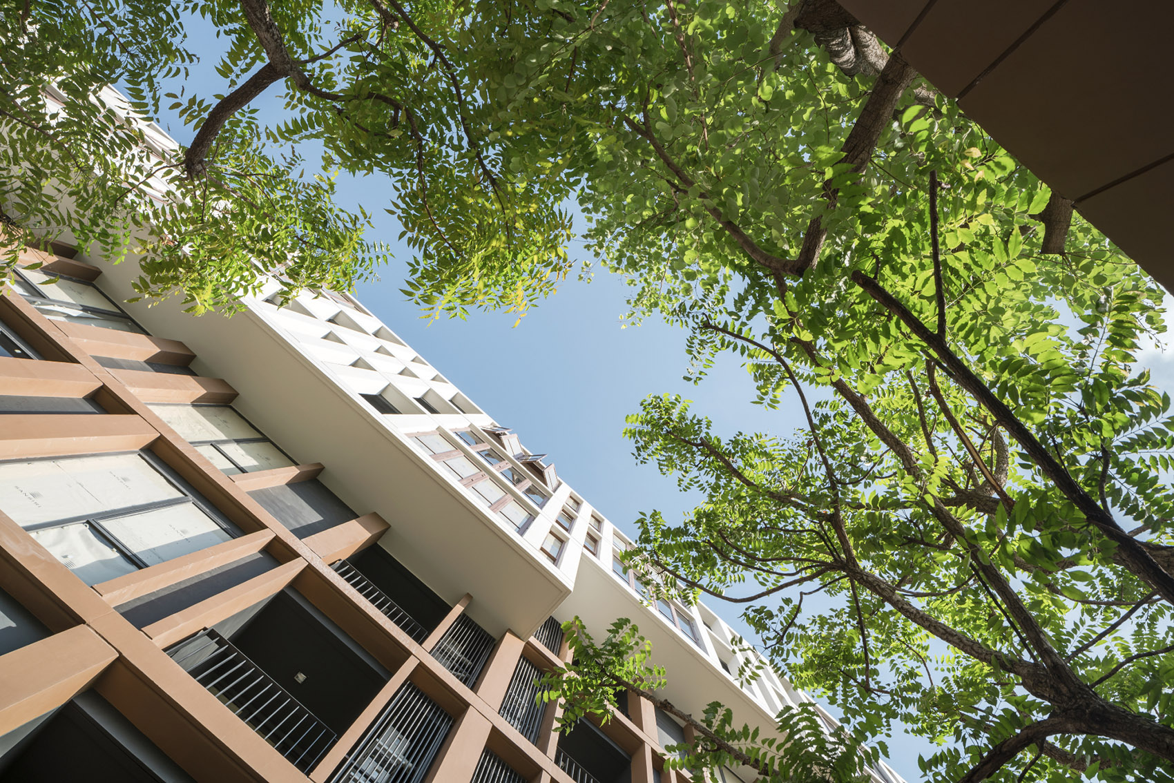 Hasu Haus by Somdoon Architects - 谷德设计网