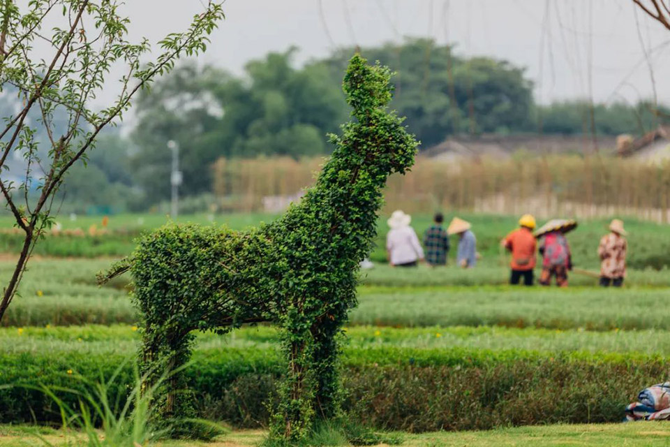 ”Power of the seed” Public Installation Design Competition - 谷德设计网