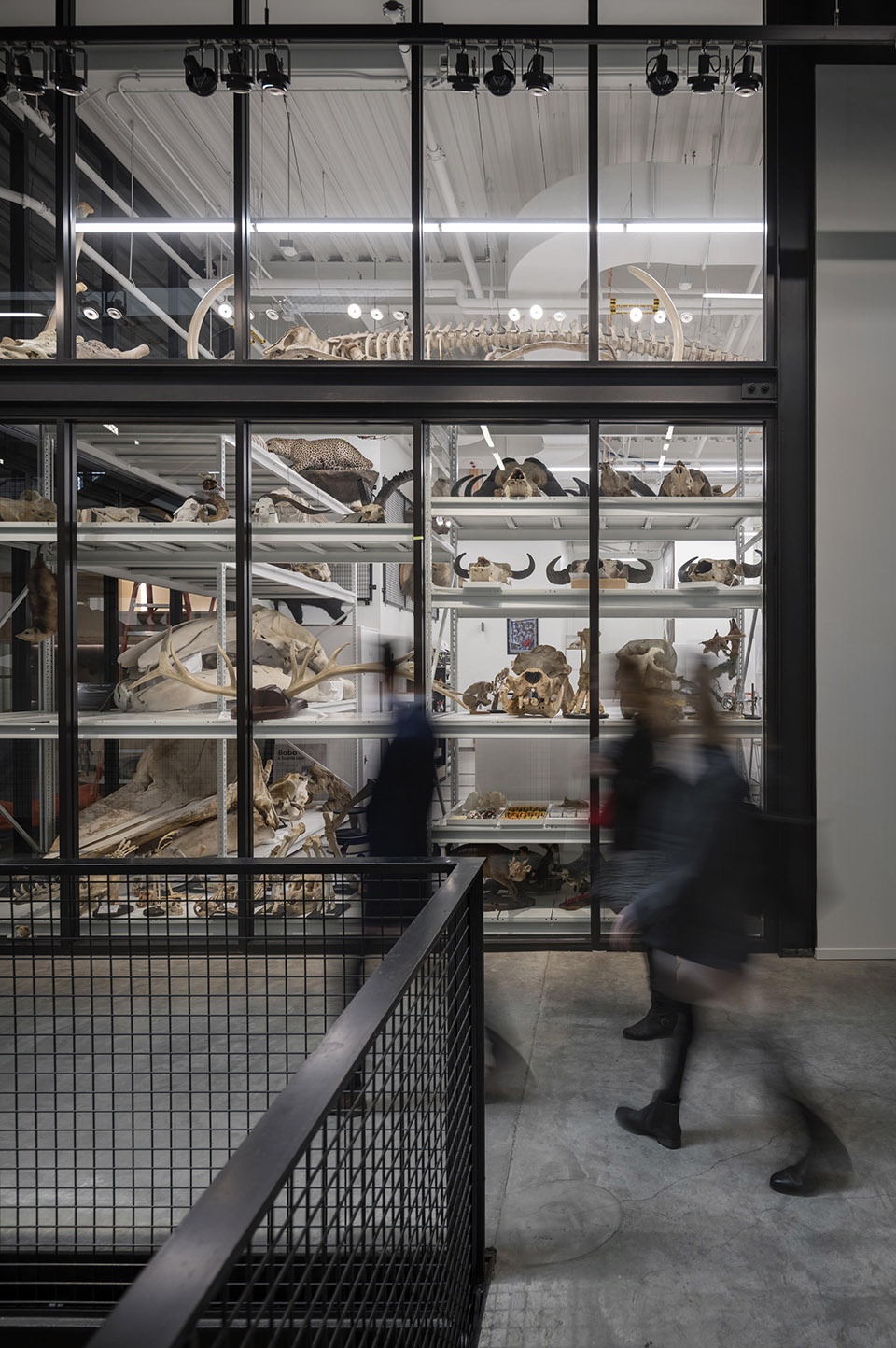 The Burke Museum Of Natural History And Culture By Olson Kundig