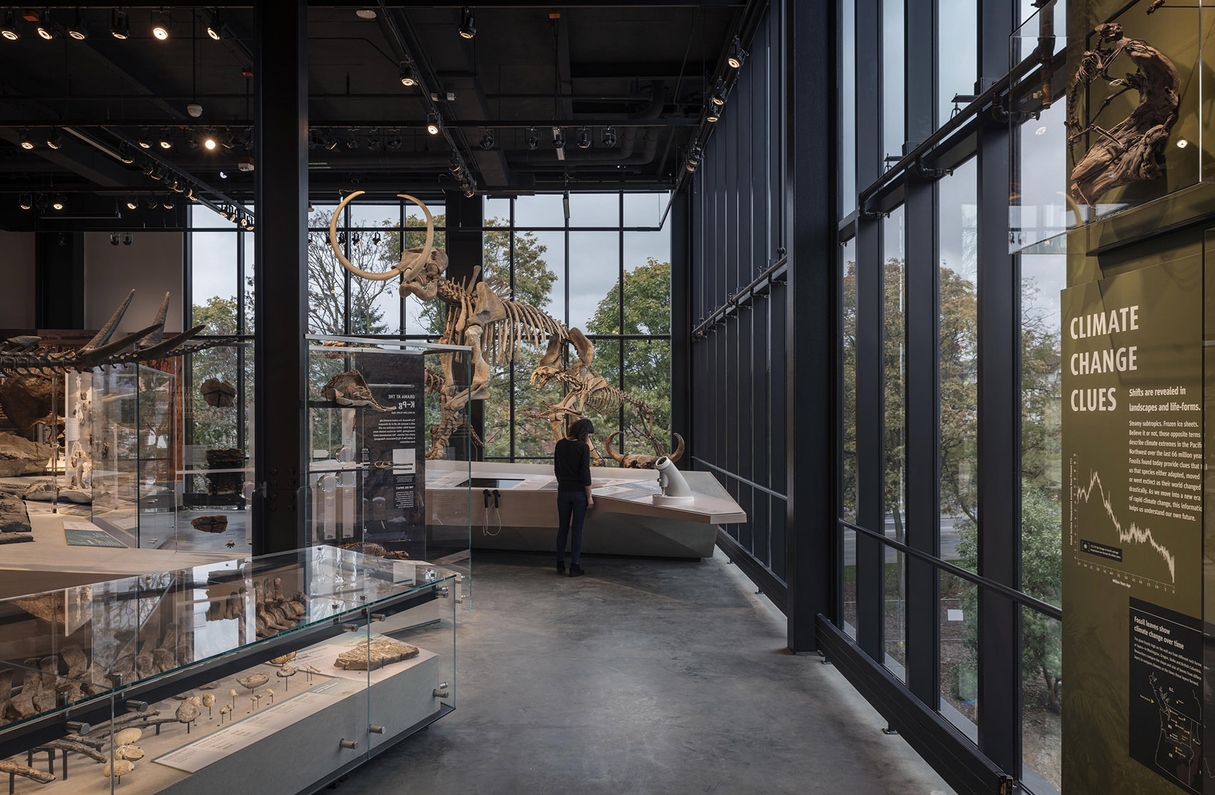 The Burke Museum Of Natural History And Culture By Olson Kundig