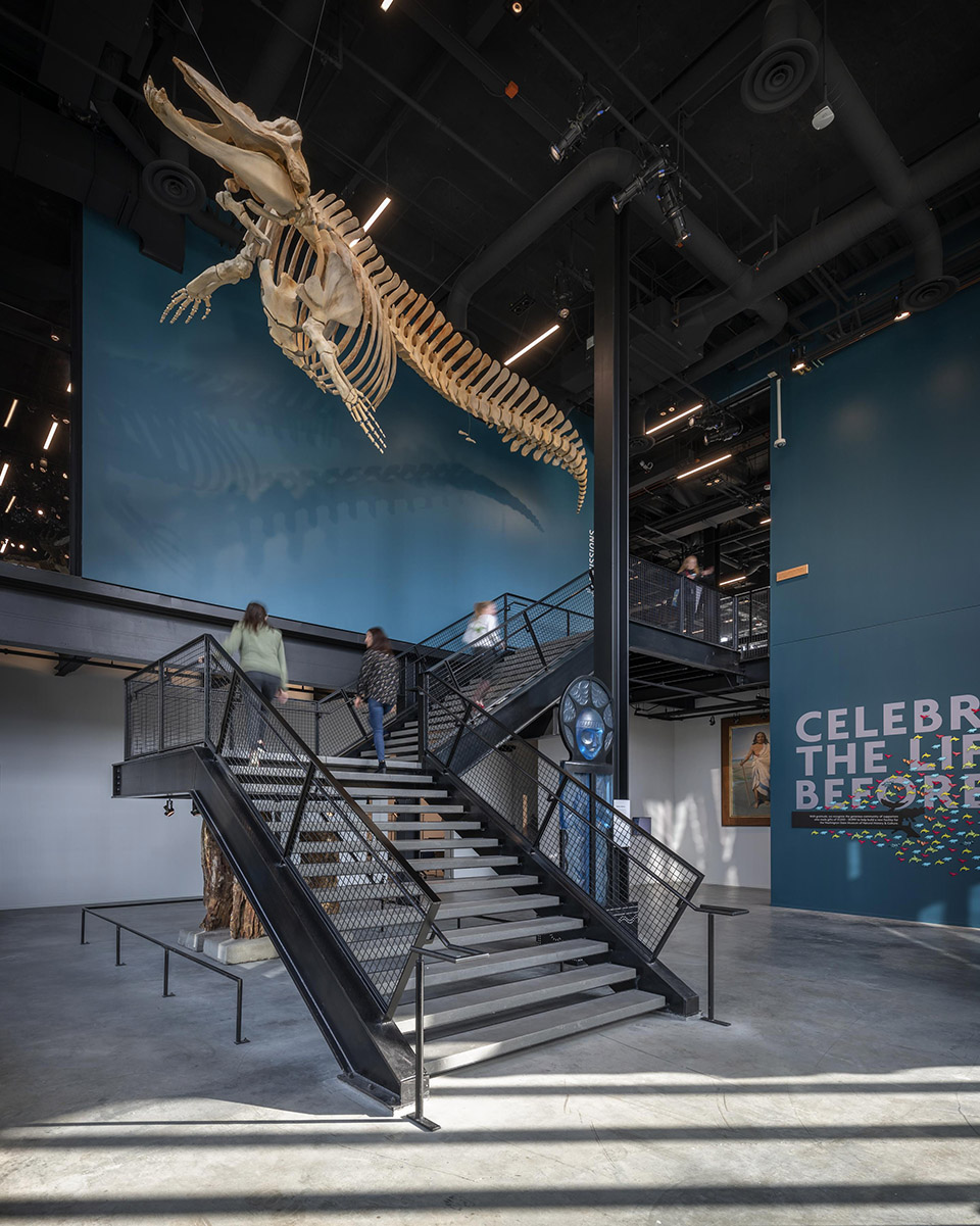 The Burke Museum Of Natural History And Culture By Olson Kundig