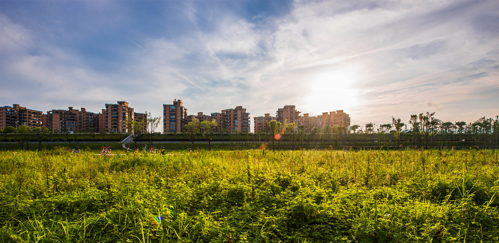 Marshland Park along Xiangjiang River, Changsha by L&A Design - 谷德设计网