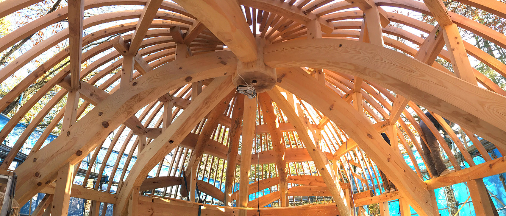 Shell House: The language of for-est, Japen by Tono Mirai architects ...