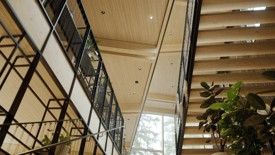 ASI Reisen Headquarters by Snøhetta - 谷德设计网