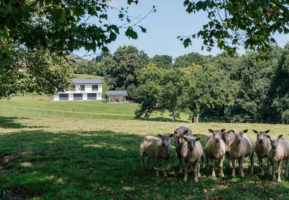 Anaz House by Garciagerman Arquitectos - 谷德设计网