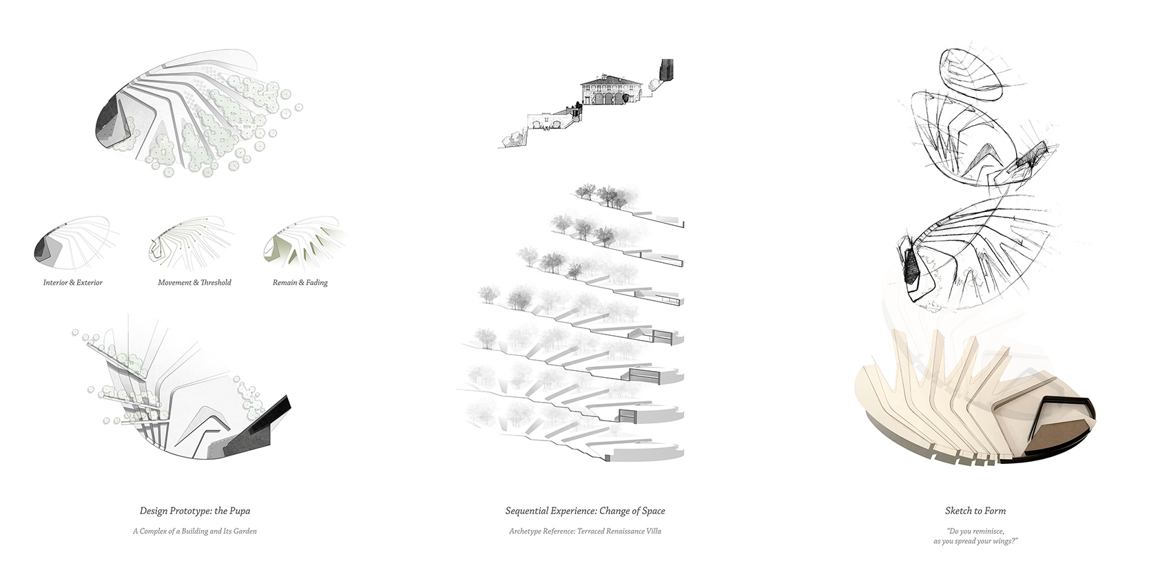 Overseas NO.99: Shuyang Wang - 谷德设计网