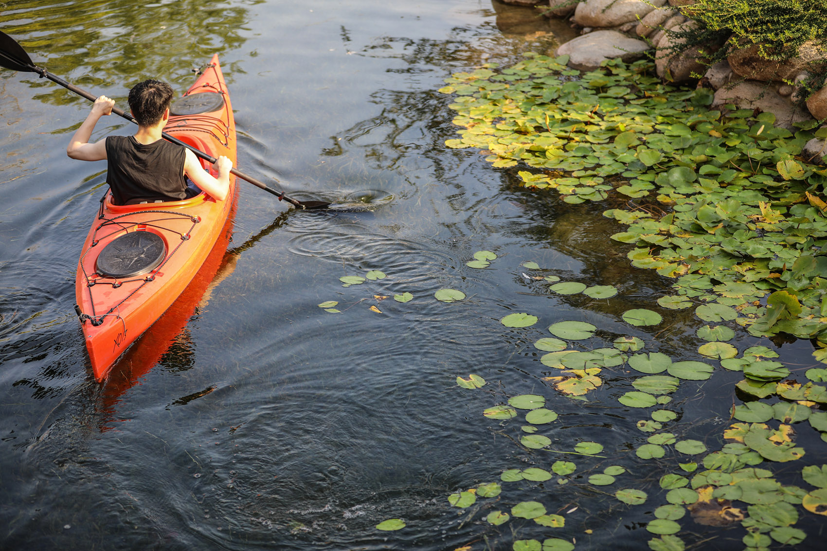 Ecological restoration landscape design of Xichuan, China by Horizon ...