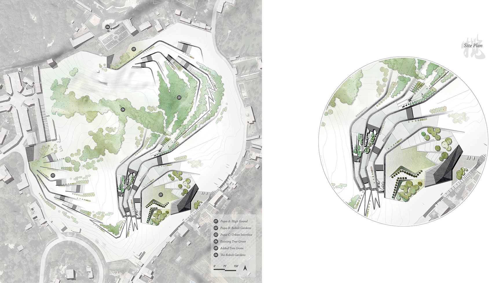 Overseas NO.99: Shuyang Wang - 谷德设计网