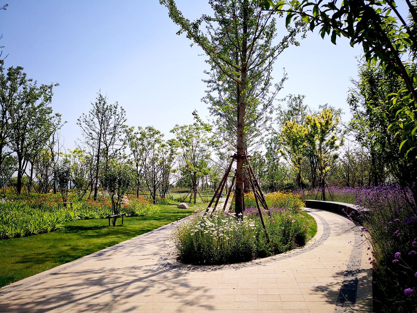 Singapore-Nanjing Eco Hi-Tech Island Waterfront Scenic Belt, China by ...