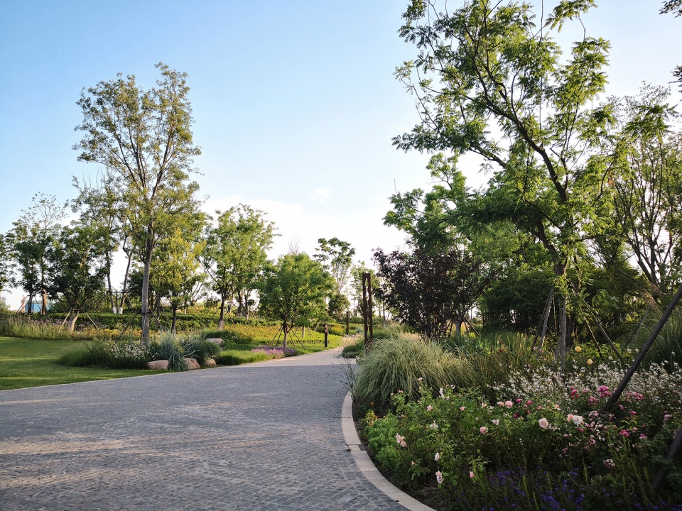 Singapore-Nanjing Eco Hi-Tech Island Waterfront Scenic Belt, China by ...