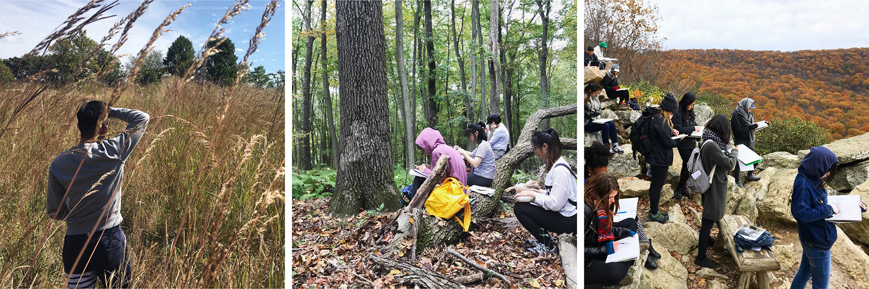 Overseas NO.99: Shuyang Wang - 谷德设计网