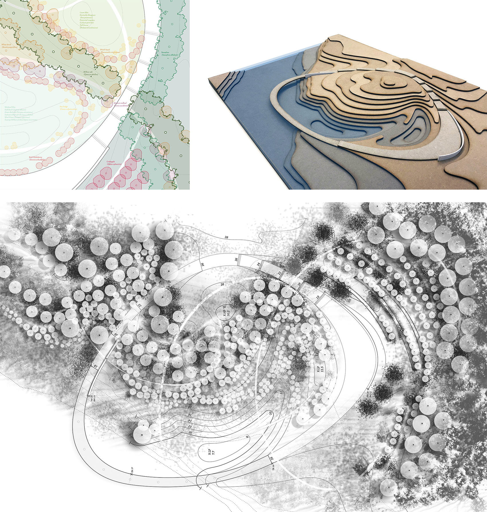 Overseas NO.99: Shuyang Wang - 谷德设计网