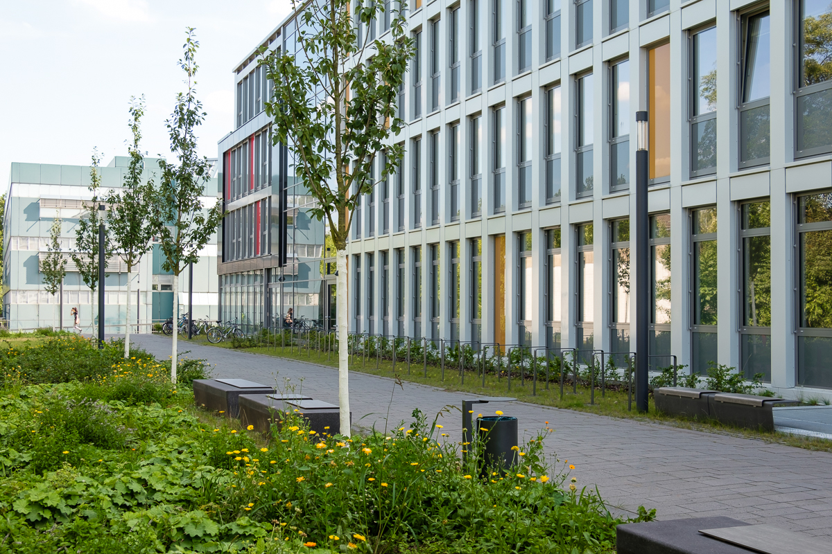 University campus open spaces Poppelsdorf by SINAI - 谷德设计网