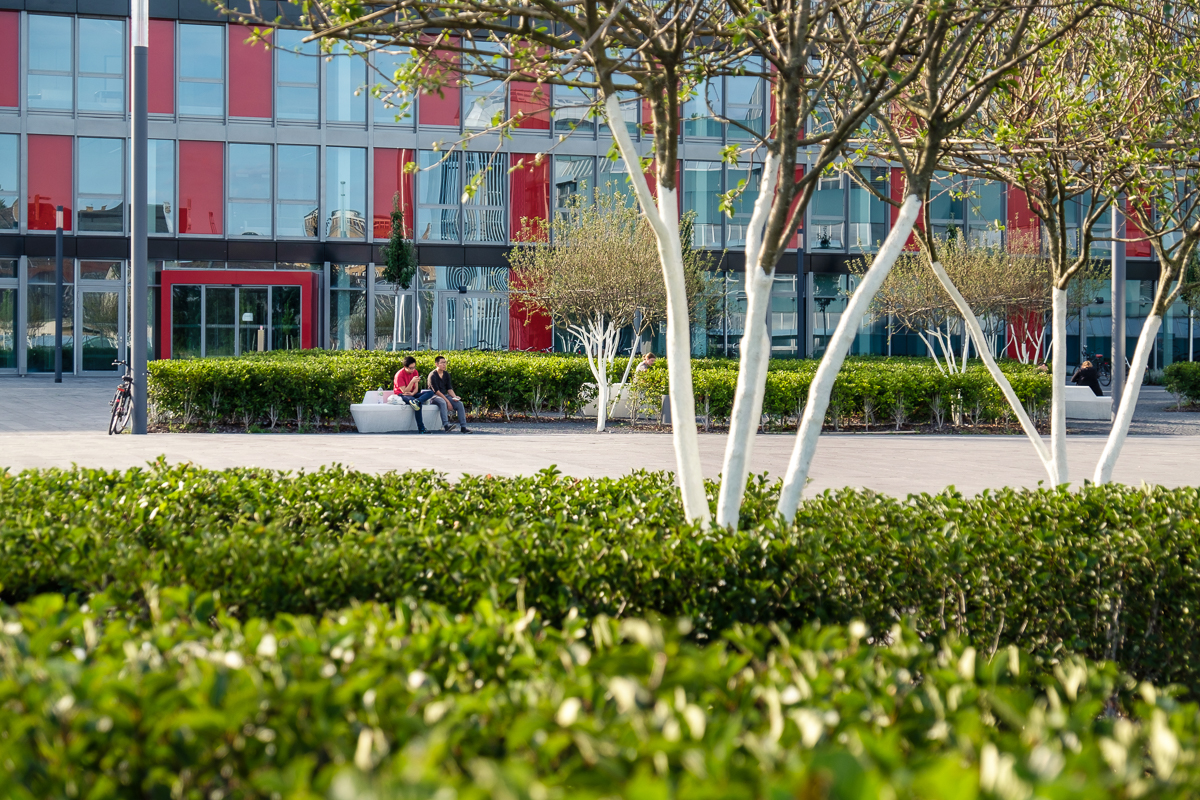 University campus open spaces Poppelsdorf by SINAI - 谷德设计网
