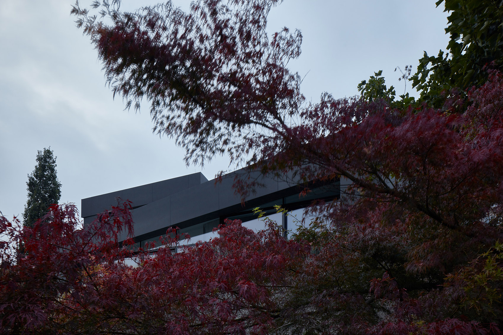 Villa Sophia by COLL COLL - 谷德设计网