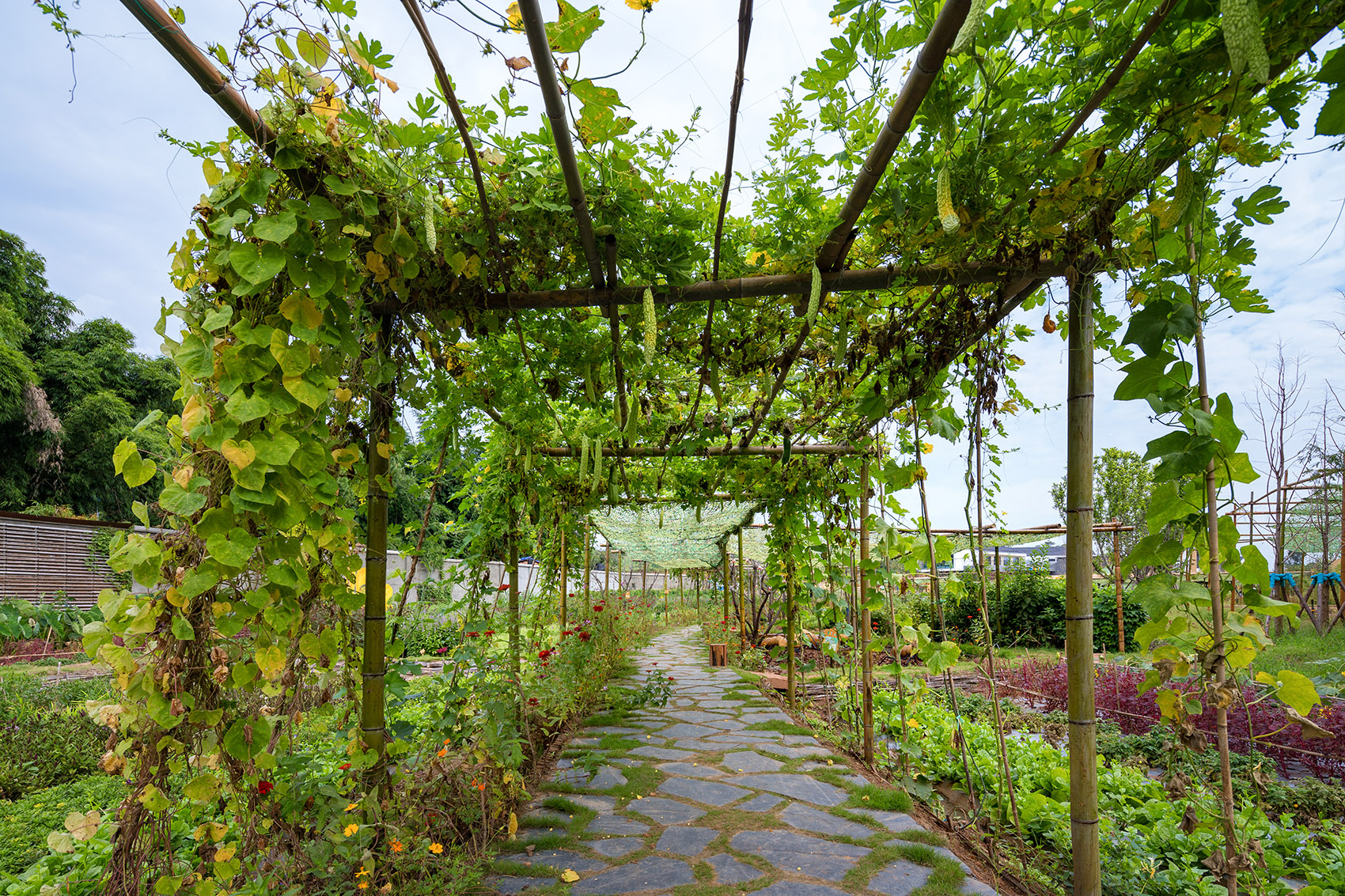 009-newhope-real-estate-seed-park-china-by-bsed.jpg (1700×1133)-花瓣网