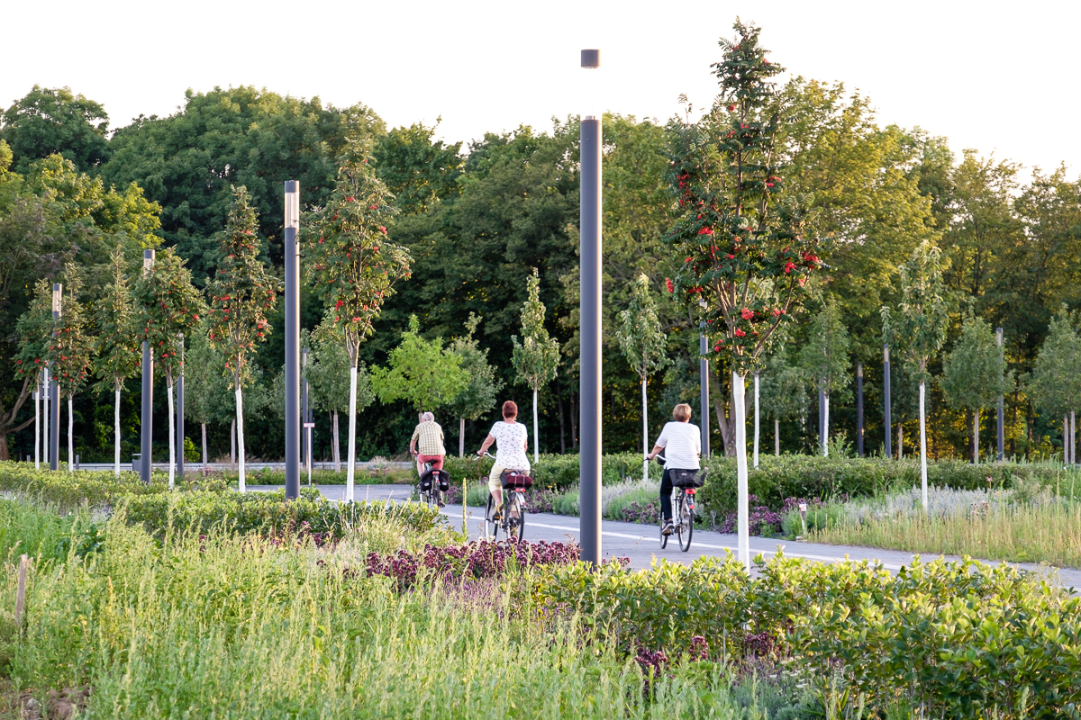 University campus open spaces Poppelsdorf by SINAI - 谷德设计网