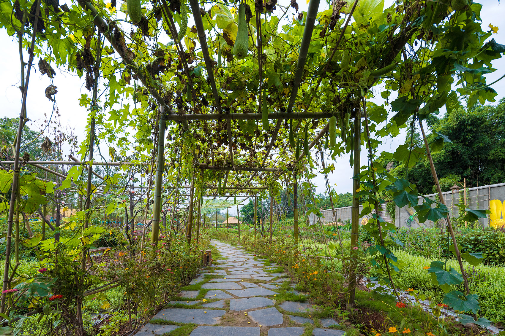 011-newhope-real-estate-seed-park-china-by-bsed.jpg (1700×1133)-花瓣网