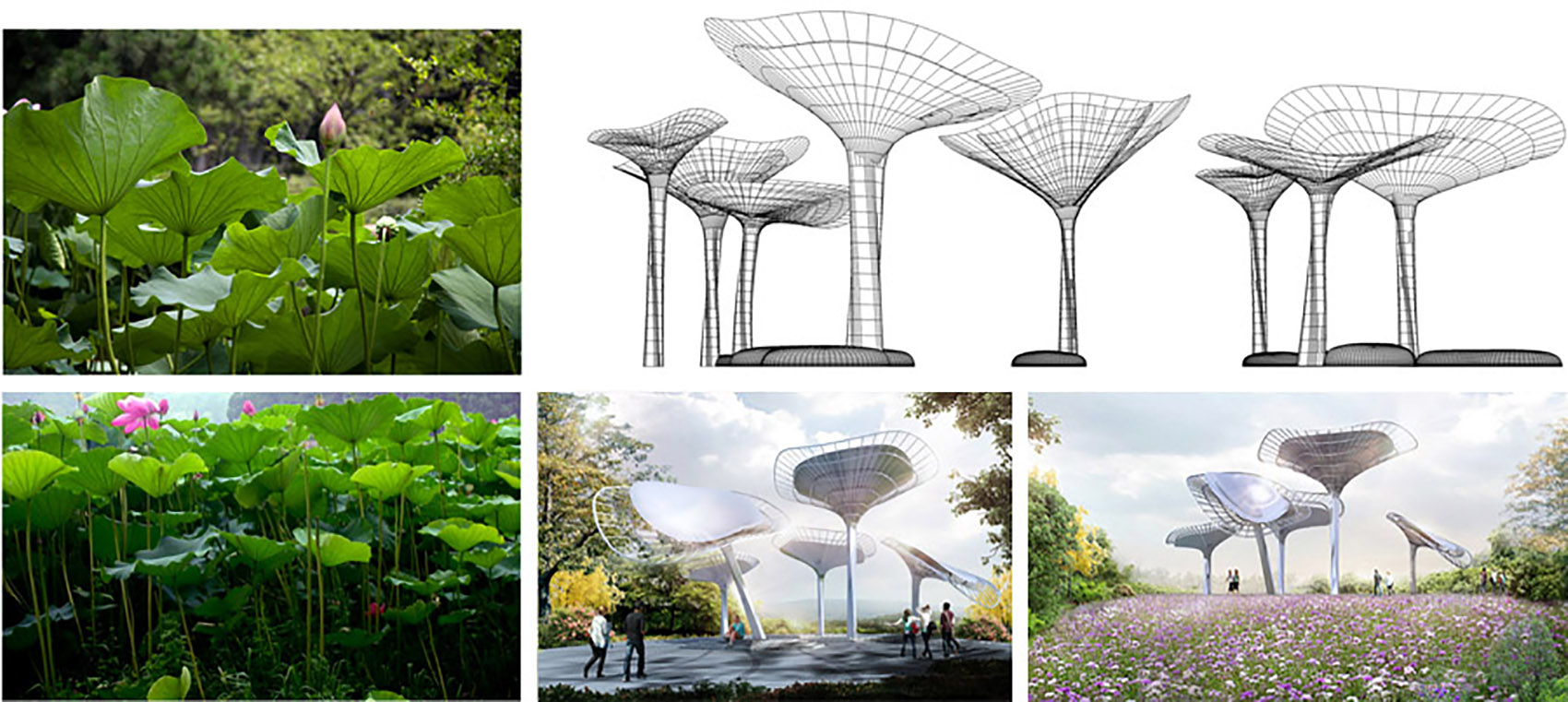 Magical Life: A Brief Introduction to Biomimetic Architecture - 谷德设计网