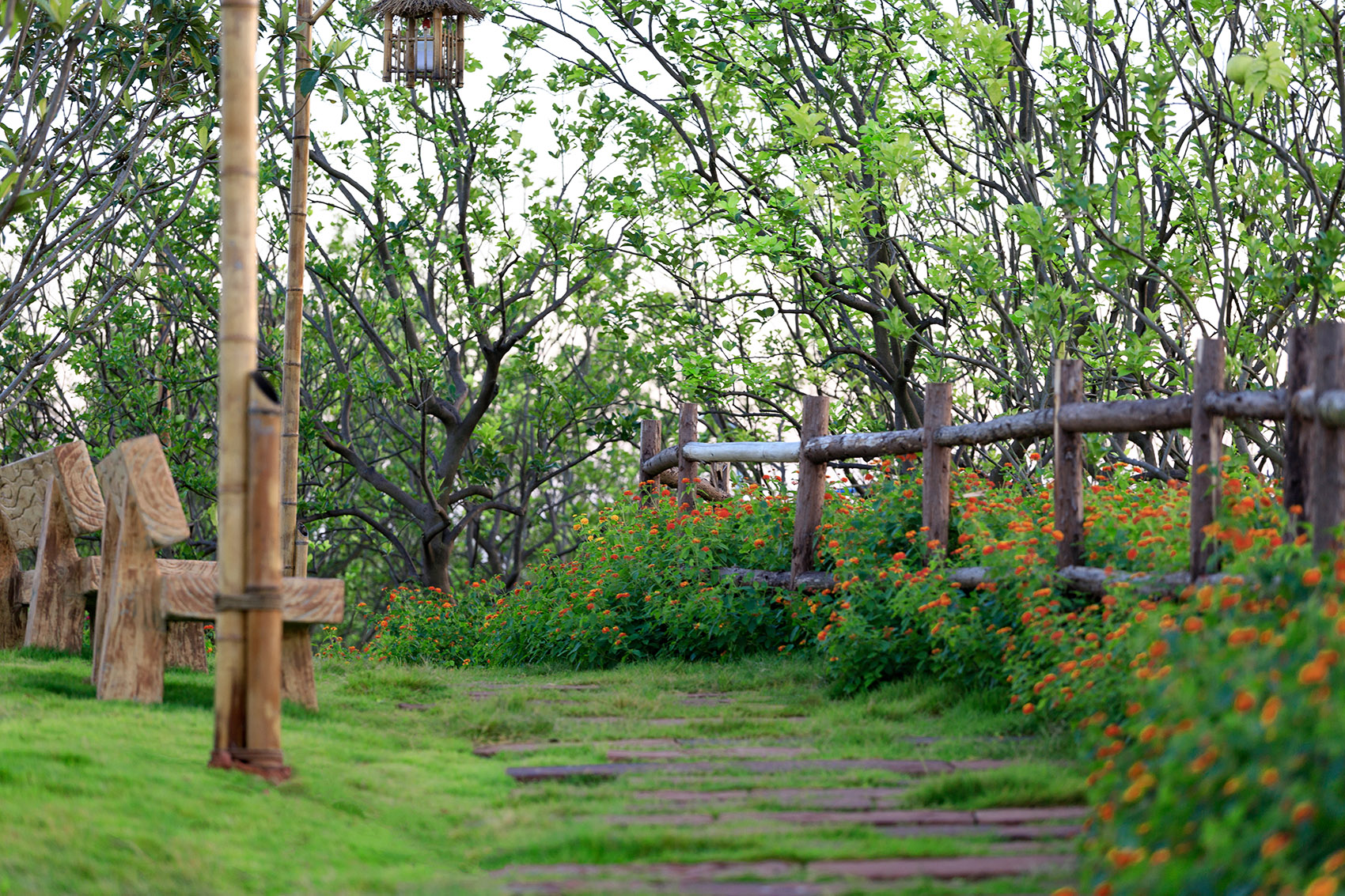 Newhope Real Estate Seed Park, China by BSED - 谷德设计网