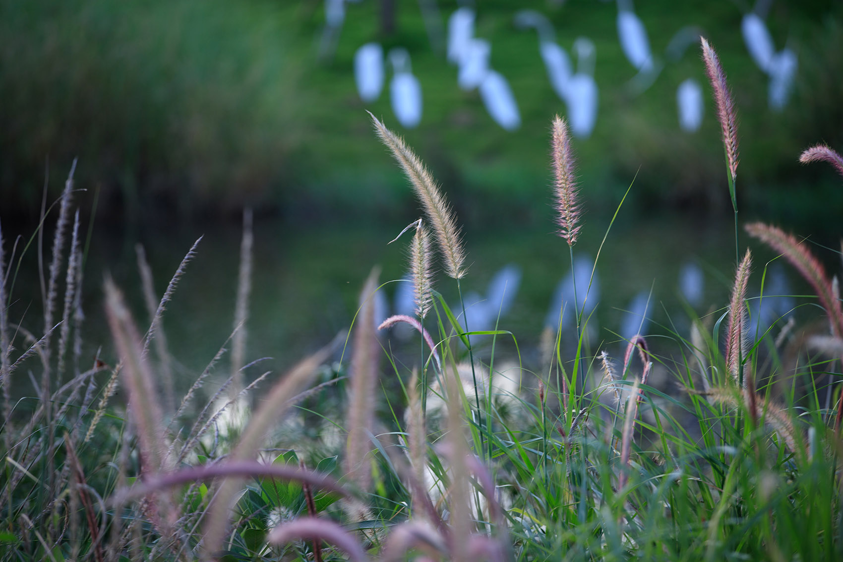 Newhope Real Estate Seed Park, China by BSED - 谷德设计网