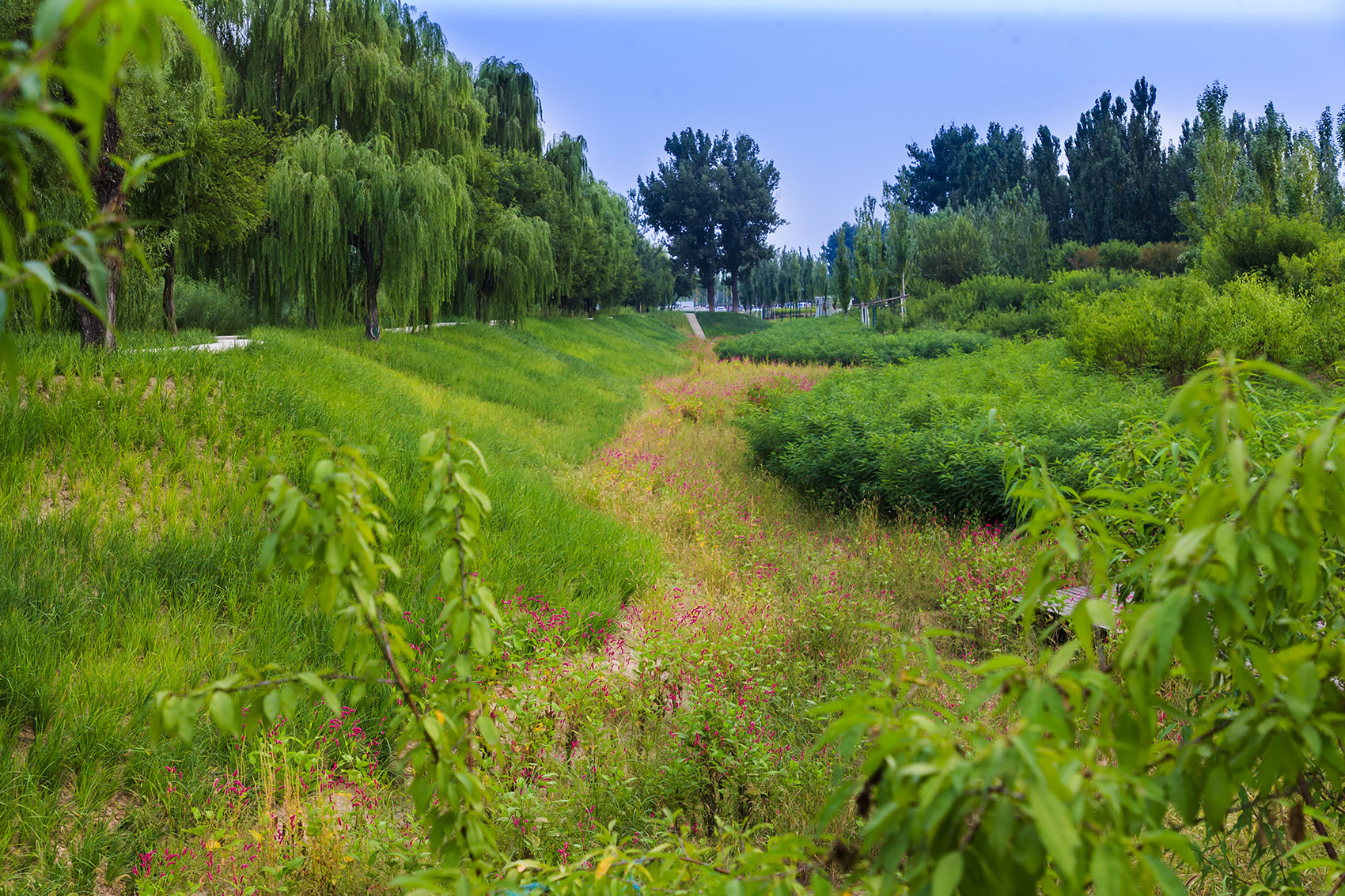 The Beijing Yongxing River Greenway, China by Turenscape - 谷德设计网