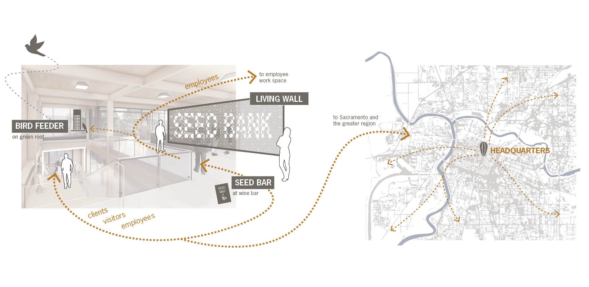 2020 ASLA COMMUNICATIONS AWARD OF EXCELLENCE: The Seed Bank: A New ...