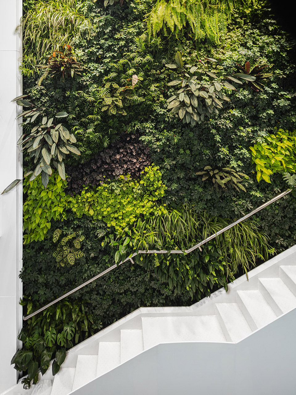 The upgrade of the underground space of dormitory building No. 35 of ...