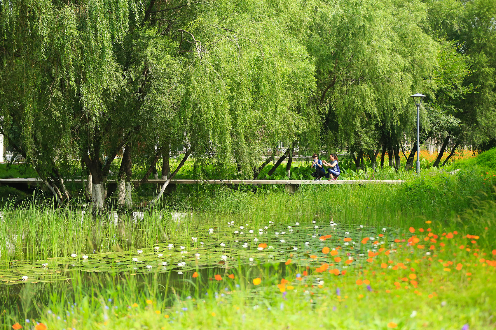 The Beijing Yongxing River Greenway, China by Turenscape - 谷德设计网