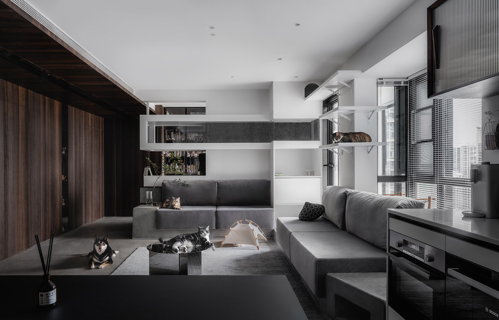 Cat & Dog Planet, Chengdu, China by GE SPACE DESIGN - 谷德设计网