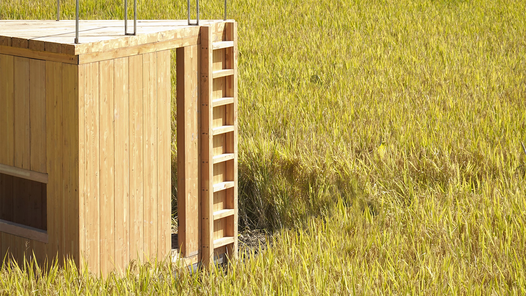 Rice Pavilion in Fujian, China by Wiki World + Advanced Architecture ...