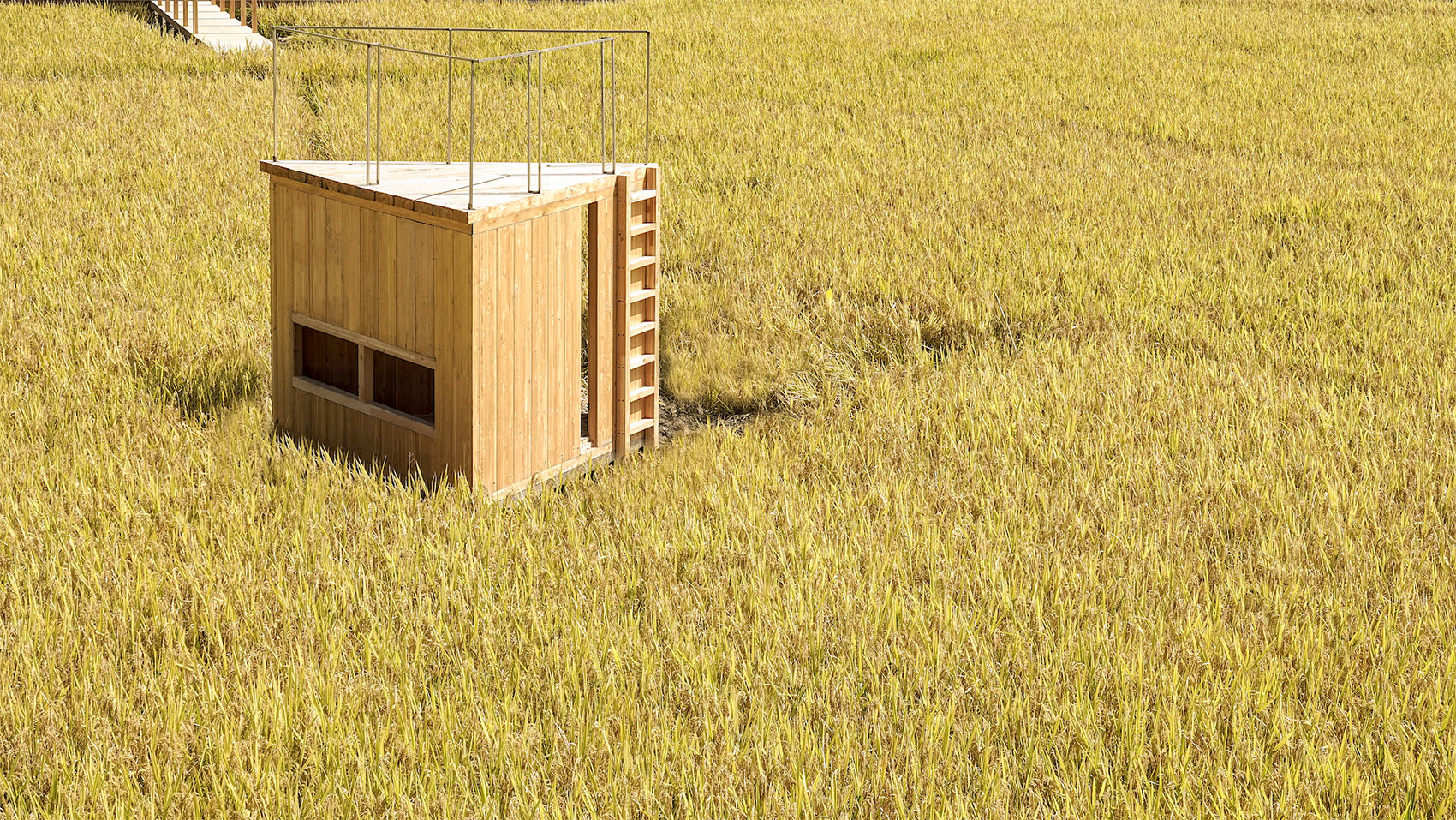 Rice Pavilion in Fujian, China by Wiki World + Advanced Architecture ...